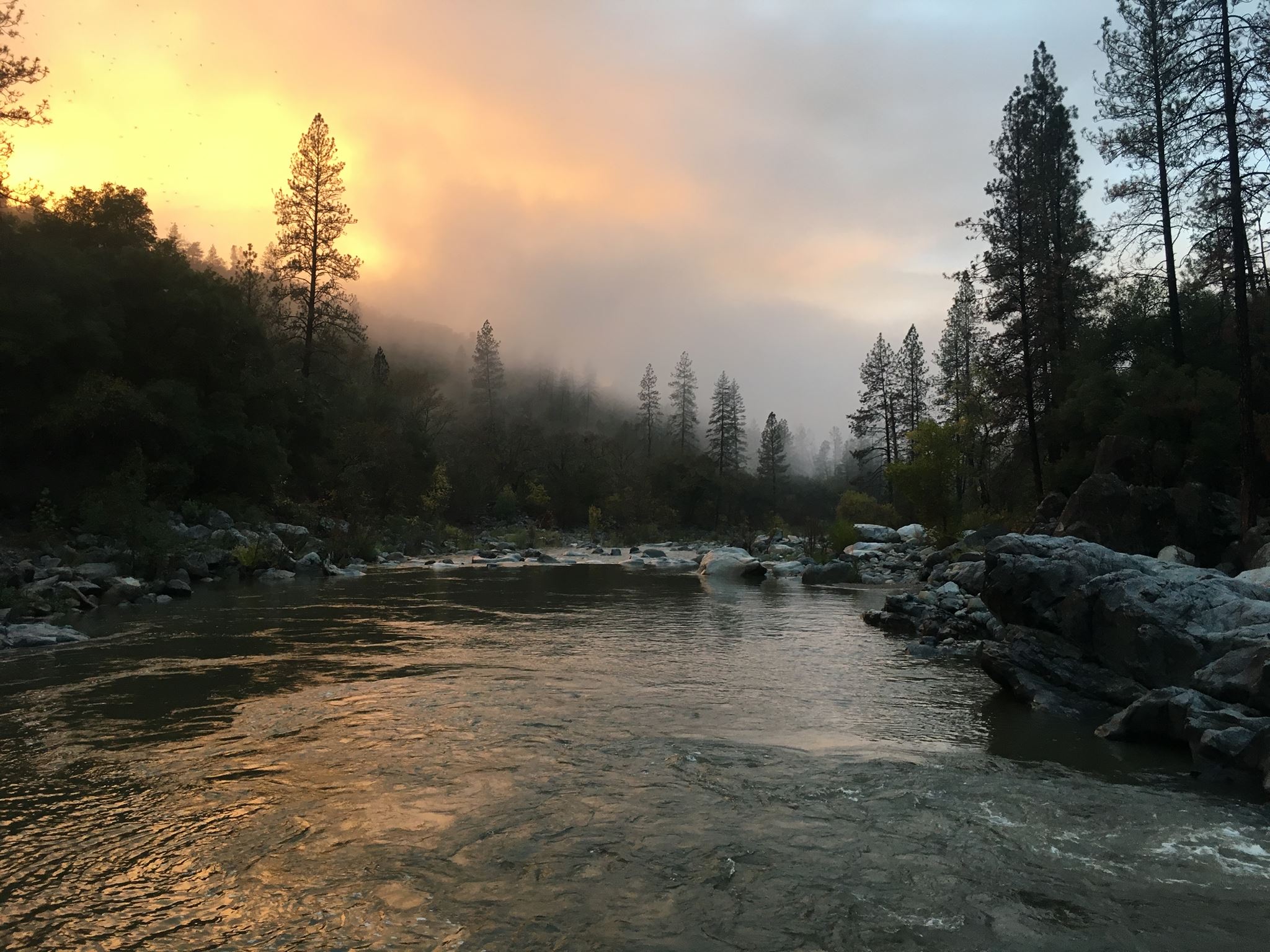 A More Personal Post – Becca Tarnas