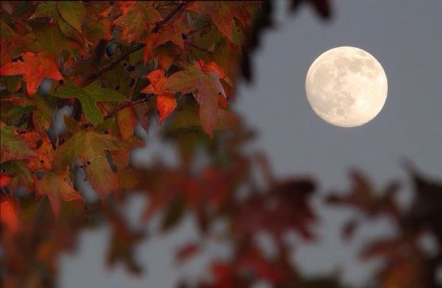 Transits for the Virgo-Libra Lunation – Becca Tarnas